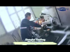 Shanghai Tianfeng Pharmaceutical Equipment Co., Ltd. -  Tablet Press Machine Factory