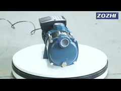 SS316 IP55 Electric Motor Water Pump Self Priming Horizontal Multistage