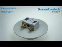 Dual Adjustable Pressure Switches SPDT Micro Stainless Steel -20 - 120 Degree