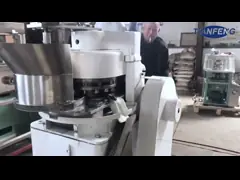 Chlorine Powder Rotary Tablet Press Machine Piece Pressing Automatic