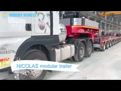 Semi Modular Trailer Hydraulic Multi Axle Heavy Load Q550D Steel
