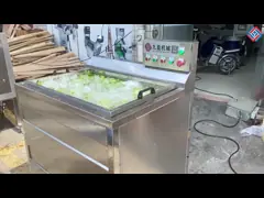 Commercial Vegetable Fruit Washing Machine Single Phase 300kg/h Eddy Current