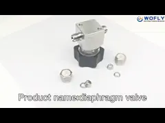 Manual Stainless Steel Pressure Regulator Diaphragm Low Pressure For Gas