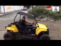 Big Tire Gas Utility Vehicles 55km/h Single Cylinder 2 Seat With Chain Drive