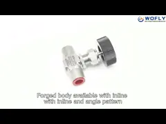 Two Way Stainless Steel Ball Valve 3000PSI High Pressure Forged SS316L