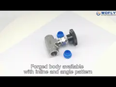 Female Thread Stainless Steel Ball Valve High Pressure 2 Way 3000psi