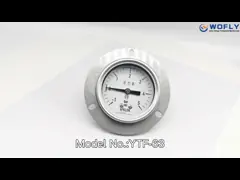 SS304 Gas Pressure Test Gauge Low Pressure 5 Bar For Propane Cylinder