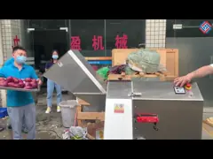 農産物商用加工機器 時速3000kg 決定されたシュナイデン・ア・スティック