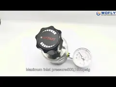 316 Stainless Steel Pressure Regulator Single Gauge Diaphragm For CO2
