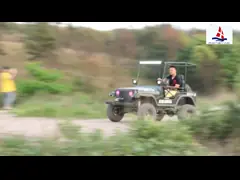 Adult Go Kart Buggy Mini Jeep 300cc Engine For Beach / Forest