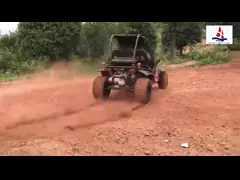 2 Person Go Kart Buggy 150cc Single Cylinder Air Cooled For Adult