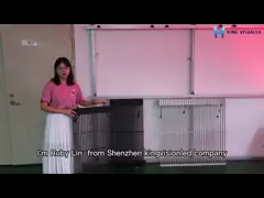 Mesh Transparent LED Display Screen Full Color Super Slim Bright Flexible Outdoor