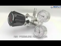 Adjustable Stainless Steel Pressure Regulator High Pressure Dual Stage