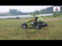 Dune Go Kart Buggy Racing 200cc Engine Electric Start For Adults