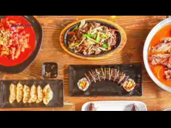 Dongxin Melamine (Xiamen) Chemical Co., Ltd. - Show You Our Dinner Plates