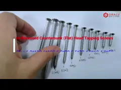 Stainless Steel Self Tapping Screws Flat Countersunk Head SCREW