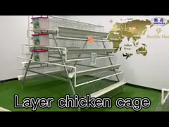 Automatic Layer Chicken Cage Galvanized Q235 Steel 4 Doors A Type