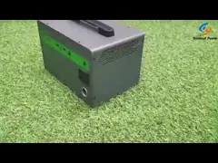 Rechargeable Portable Energy Storage System LiFePO4 Multi Protection
