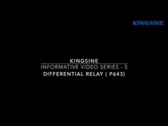 Small Protection Relay Testing Lightweight Differential Automatic