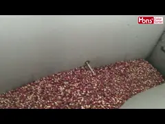 Grading CCD Color Sorter Vacuum Gravity Negative Pressure For Seaweed