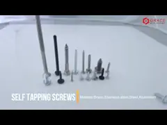 Self Drilling Screw Types of Self Tapping SCREW