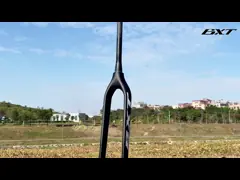 Thru Axle Carbon Mountain Bike Fork 29er 300mm Length Gloss / Matte