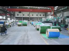 Steel Color Coated Coil Galvanized Prepainted Cold / Hot Rolled DX51D