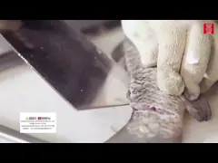 Electric Fish Grill Machine 380V Single Layer Eight Grid High Efficiency