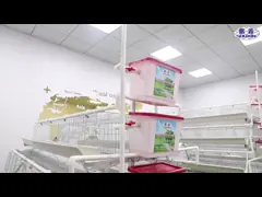 Q235 Layer Chicken Cage 4 Tiers Automatic Feeding For Poultry Farm