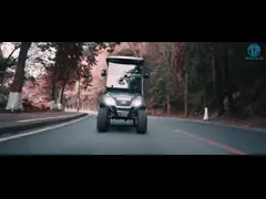 Regenerative Brake Electrical Golf Cart 48V Lithium Battery 80km Range