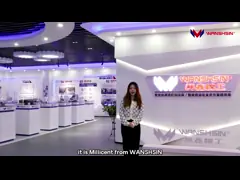 WANSHSIN Seikou (Hunan) Co., Ltd. -  Gear Motor Factory
