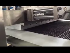 304 SS Chocolate Chip Making Machine 100kg/h 600mm Width Automatic