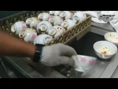 Long Line Conveyor Commercial Dishwasher Large Capacity High Temperature For Hotel