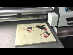 Macchine per la stampa numerica UV con superficie e piastra, 3 teste