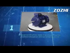 Gear Hydraulic Pump Electric Motor Hollow Shaft 3 Phase IP55 High Efficiency