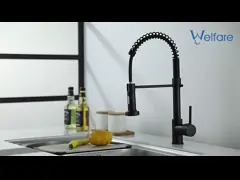 Solid Brass Pull Down Kitchen Faucet 360 Degree Swiveling Stream / Spray