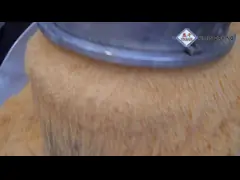 Rotary Extruding Wet Granulator Machine Cylinder Shape Continuous Granules