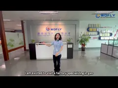 Shenzhen Wofly Technology Co., Ltd. - Gas Equipements Supplier