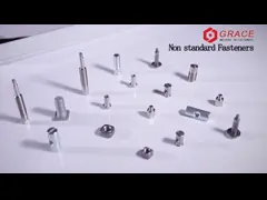 China Factory Wholesale Customized Screws Nuts Fasteners