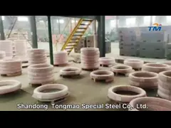 SHANDONG TONGMAO SPECIAL STEEL CO., LTD -  SS Steel Pipes Factory