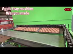 Waste Paper Pulp Molding Machine 6000pcs/h Reciprocating For Egg Box
