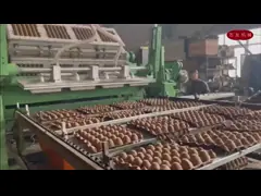 Paper Pulp Rotary Egg Tray Machine 450kg/h 200kw With Automatic Counting