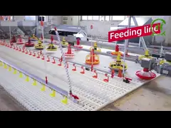 Chicken Automatic Poultry Farm Equipment With Ventilation System