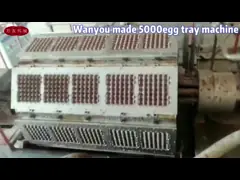 Rotary Egg Carton Making Machine Recycled Waste Paper Pulp Molding