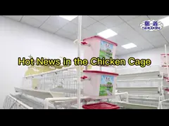 Galvanized Poultry Chicken Cages 96 Birds Metal Corrosion Protection