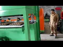 Disposable Paper Egg Tray Making Machine 1000pcs/h Pulp Molding Automatic