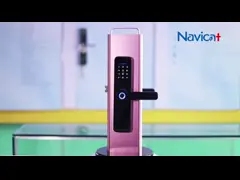 Keyless Tuya Smart Door Lock DC6V Alluminum Alloy Fingerprint Password