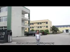 Sichuan Baolida Metal Pipe Fittings Manufacturing Co., Ltd. - Film Greenhouse Factory