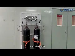 Toxic Gases Changeover Manifold SS316L 6.0 Purity For Gas Supply