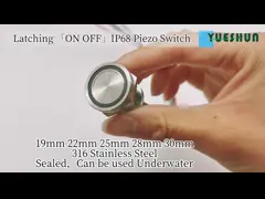 Capacitive Touch Piezo Switch 22mm Silver Stainless Steel Momentary / Latching